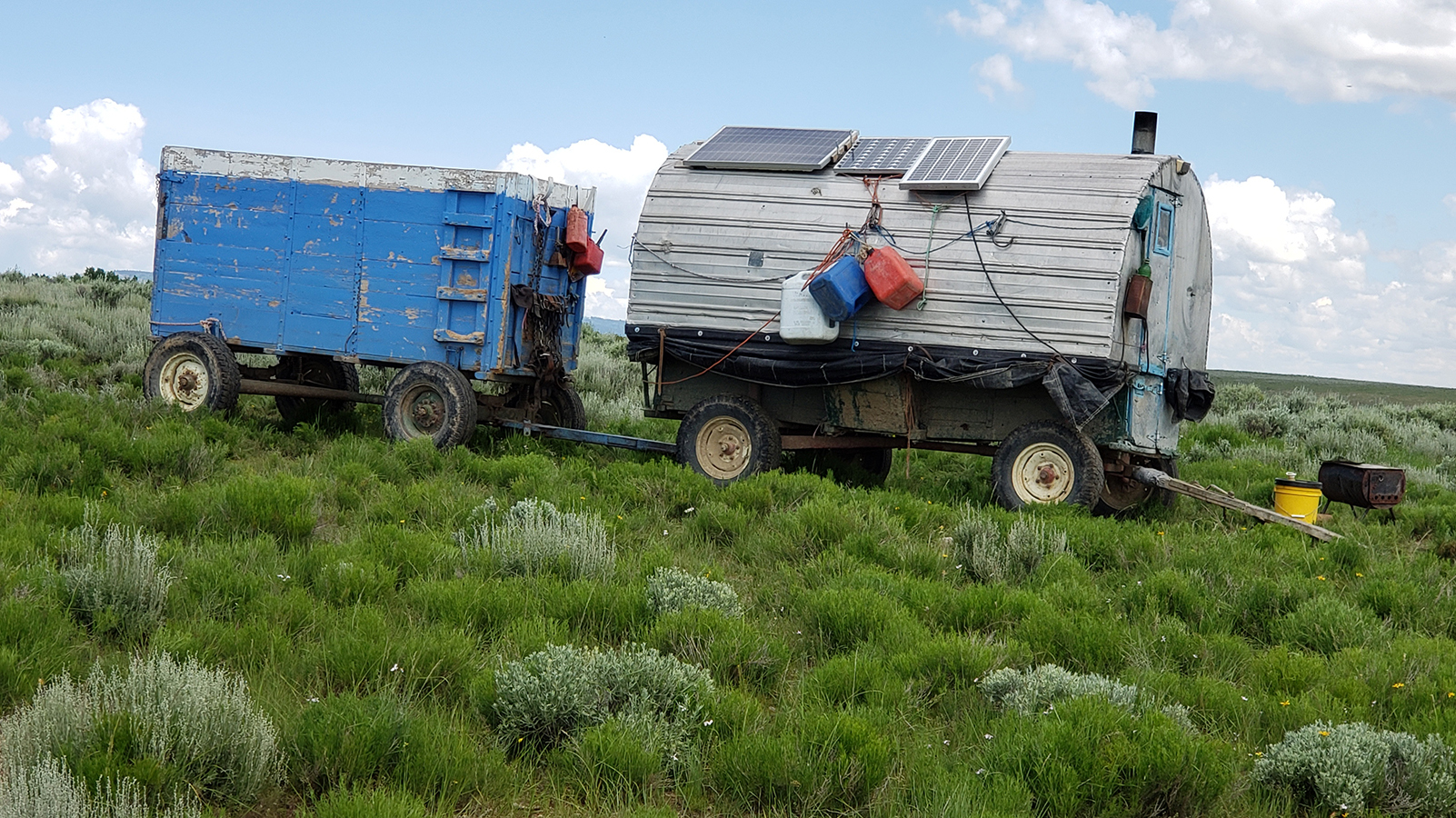 Wyoming Sheep Rancher Hopes Agrotourism Can Keep A 200-Year Legacy ...