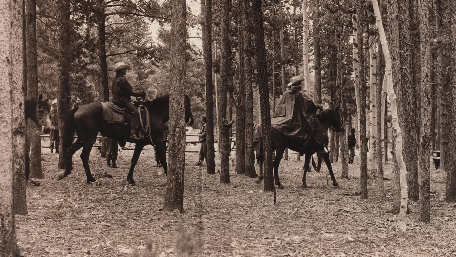 Wyoming History: The Lost 9-Year-Old Who Eluded Casper Mountain Search ...