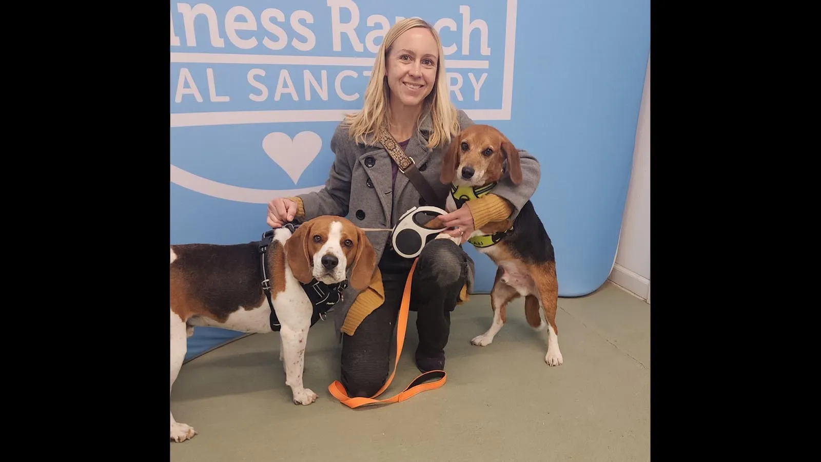 Wyoming Rescue Ranch Cheers Shutdown Of Notorious Beagle Test Lab, New ...