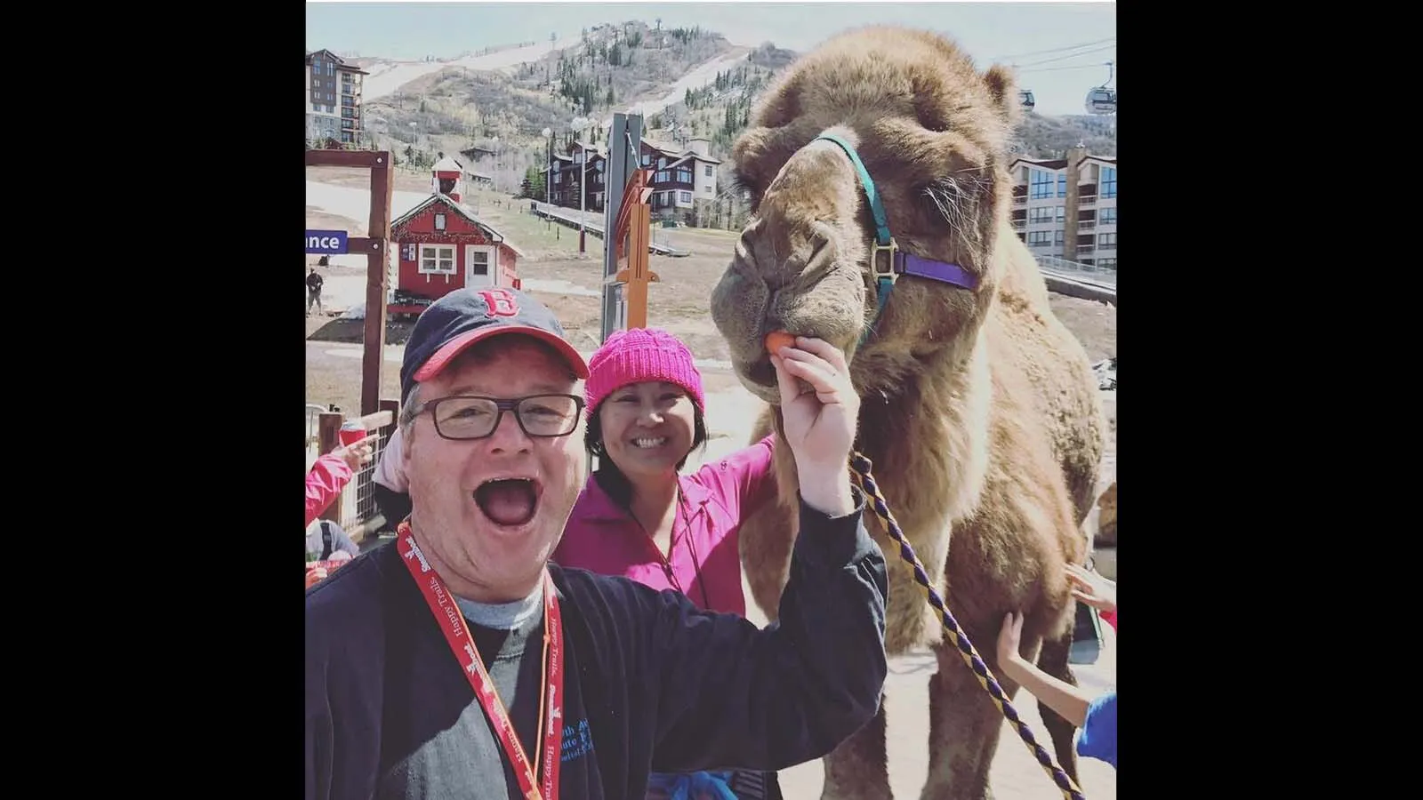 Colorado’s Famous Larry The Camel Hit And Killed By Lightning | Cowboy ...