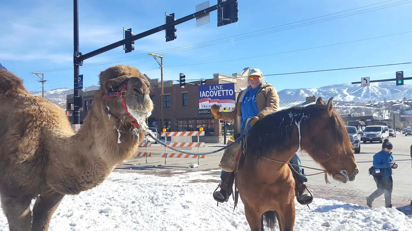 Colorado’s Famous Larry The Camel Hit And Killed By Lightning | Cowboy ...