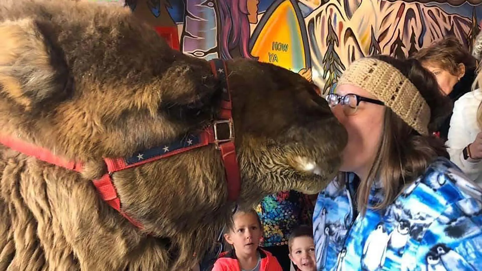 Colorado’s Famous Larry The Camel Hit And Killed By Lightning | Cowboy ...