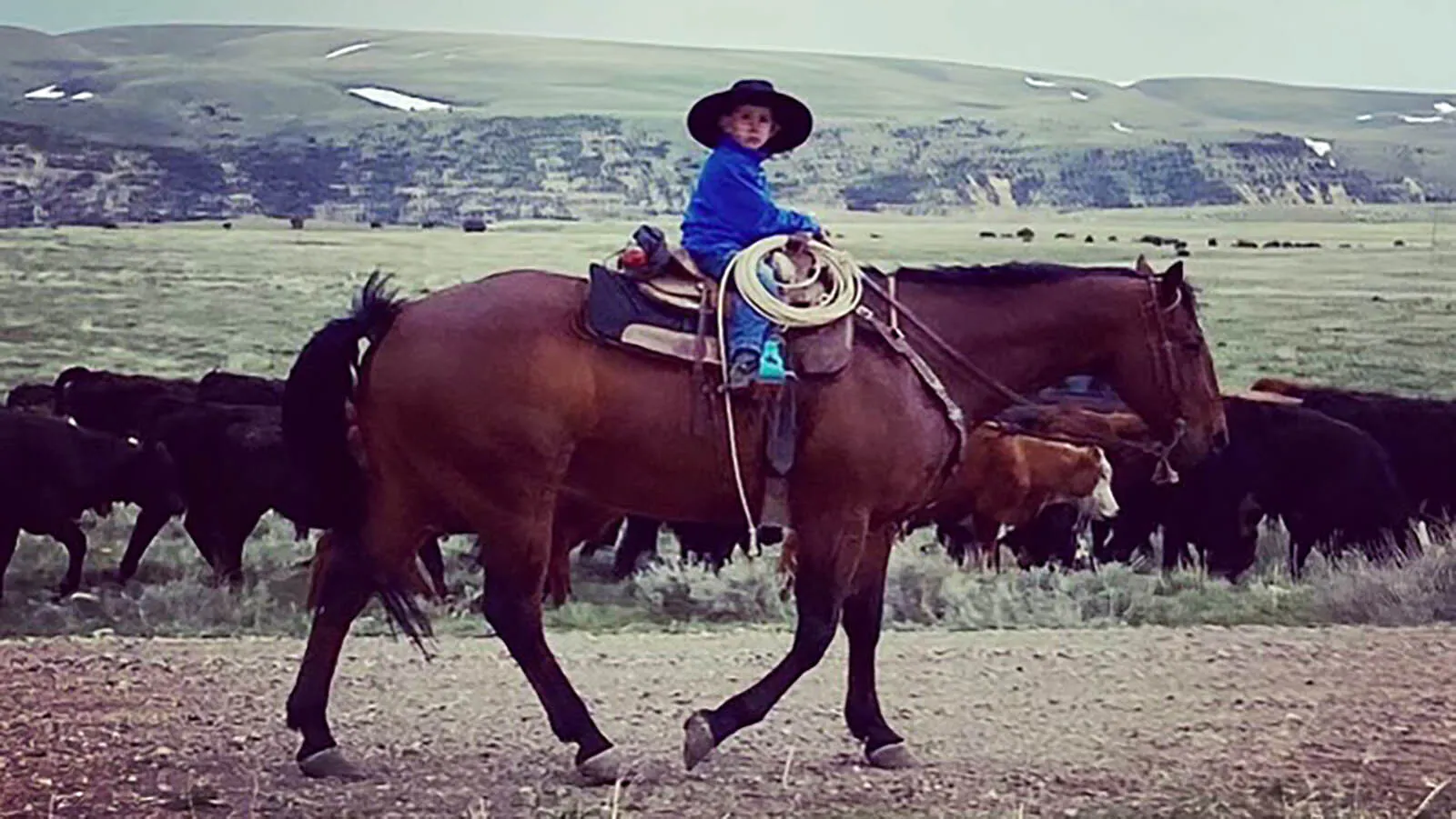 Like A True Woming Cowboy, 10-Year-Old Plans To Trick-Or-Treat On ...
