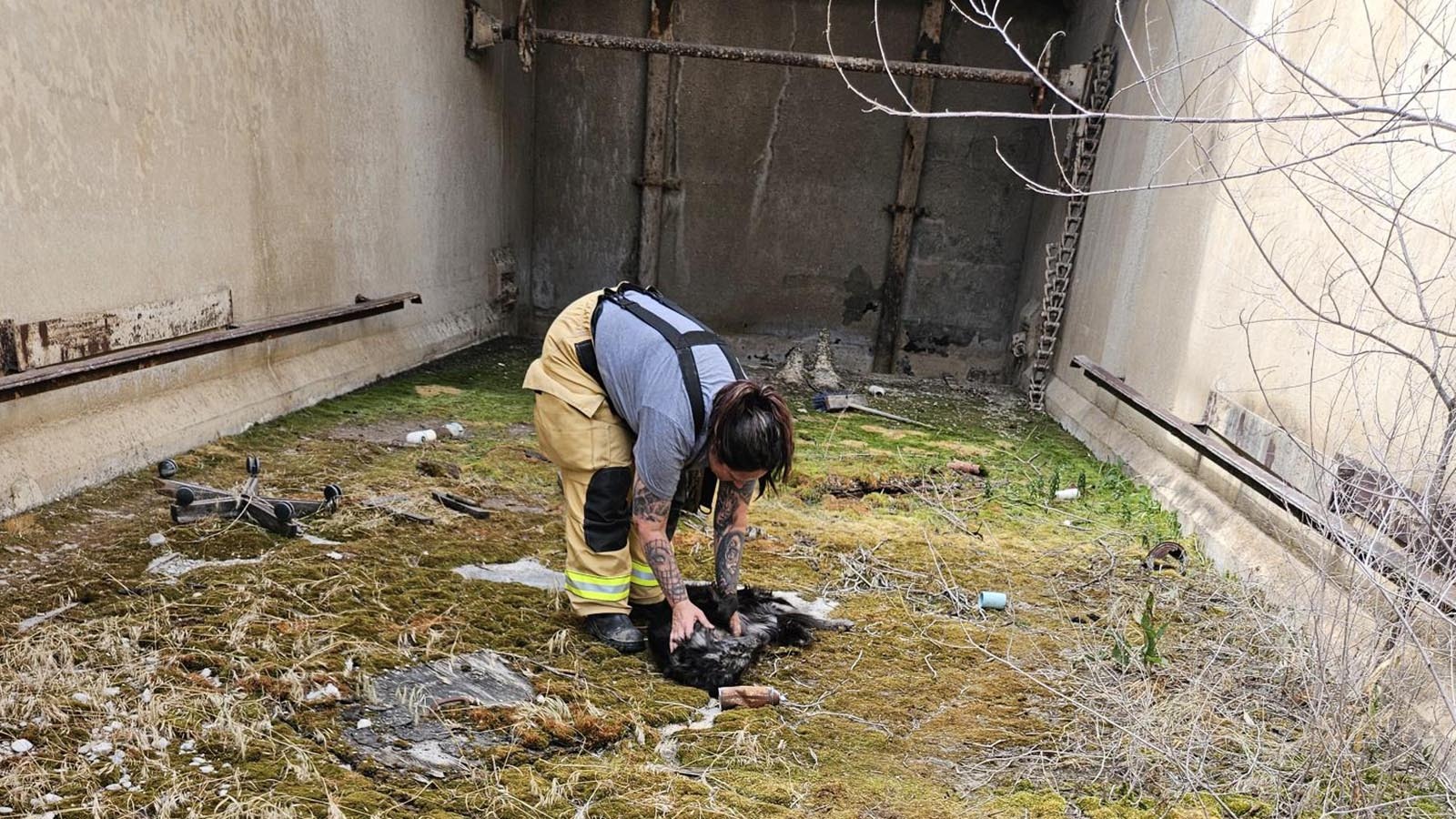 Dog Almost Dies In Abandoned Water Tank Before Worland Firefighters Rescue Her | Cowboy State Daily