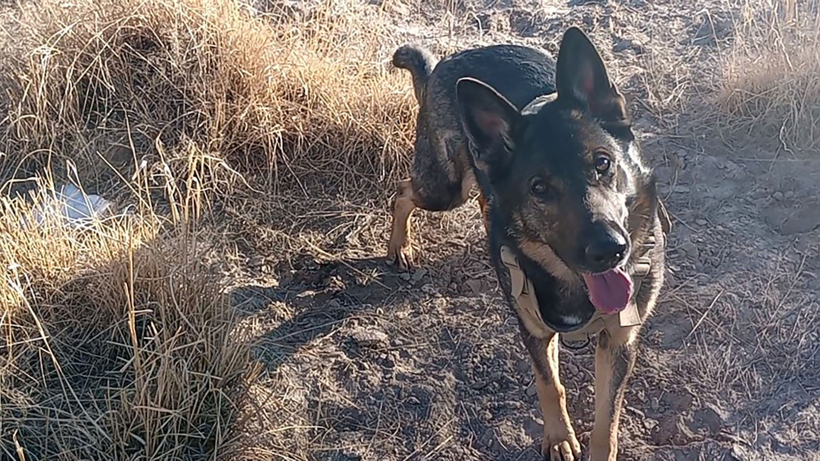 Summer Of Bundy: Investigator On Quest To Find Bodies Of Ted Bundy's ...