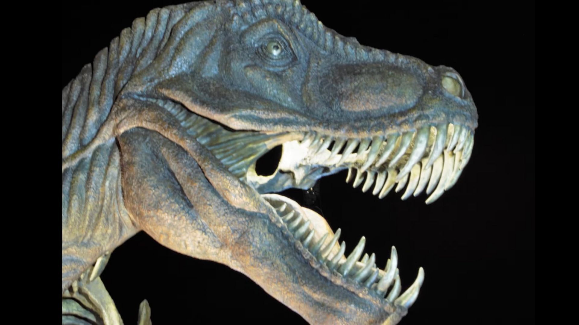 From Giant Lighted Jesus To Giant Lighted T. Rex, Chris Navarro Now ...