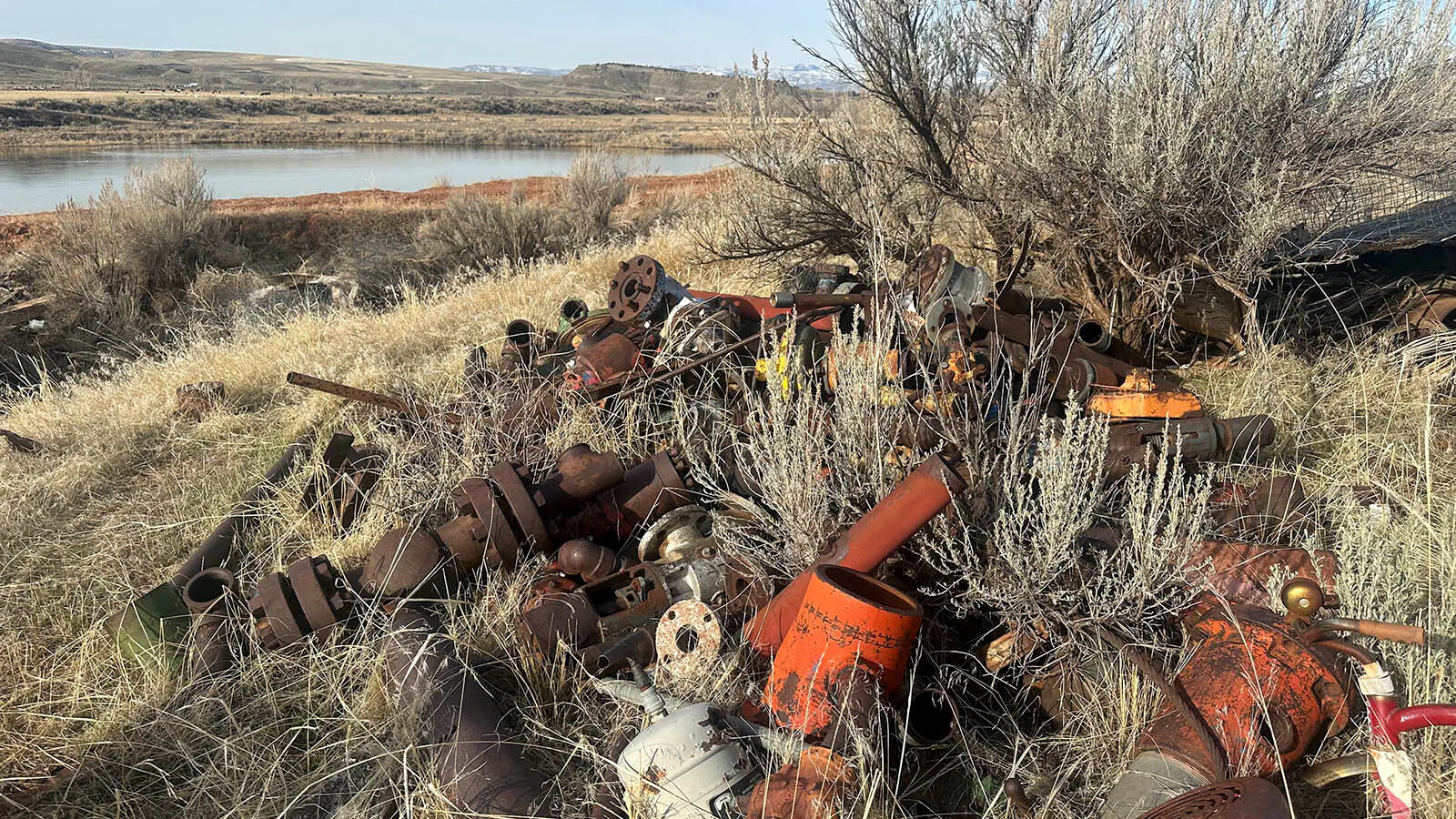 Long-Lost Little America Penguin Sign Rescued From Remote Wyoming Junk ...