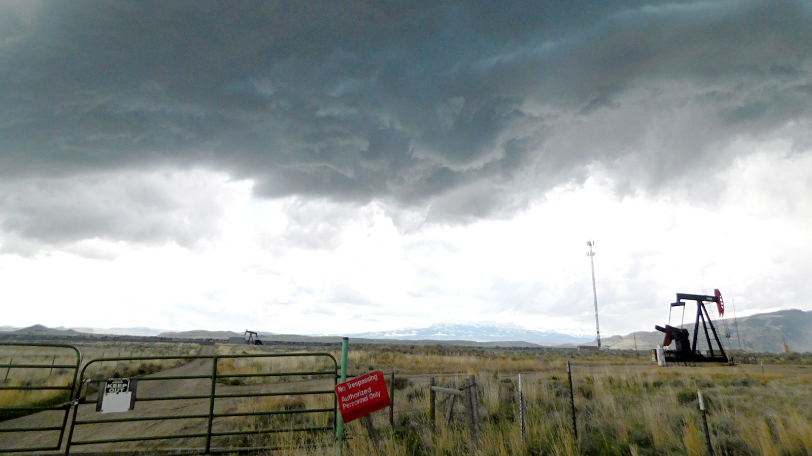 Loneliest Mail Carrier In The Nation: Tebra Morris' Daily 300-Mile ...