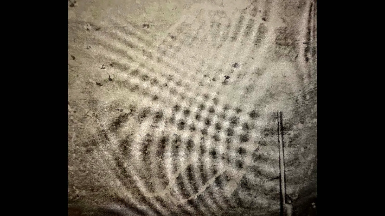 160 Years After It Was Lost, Treasure Hunters Still Search For Lost ...