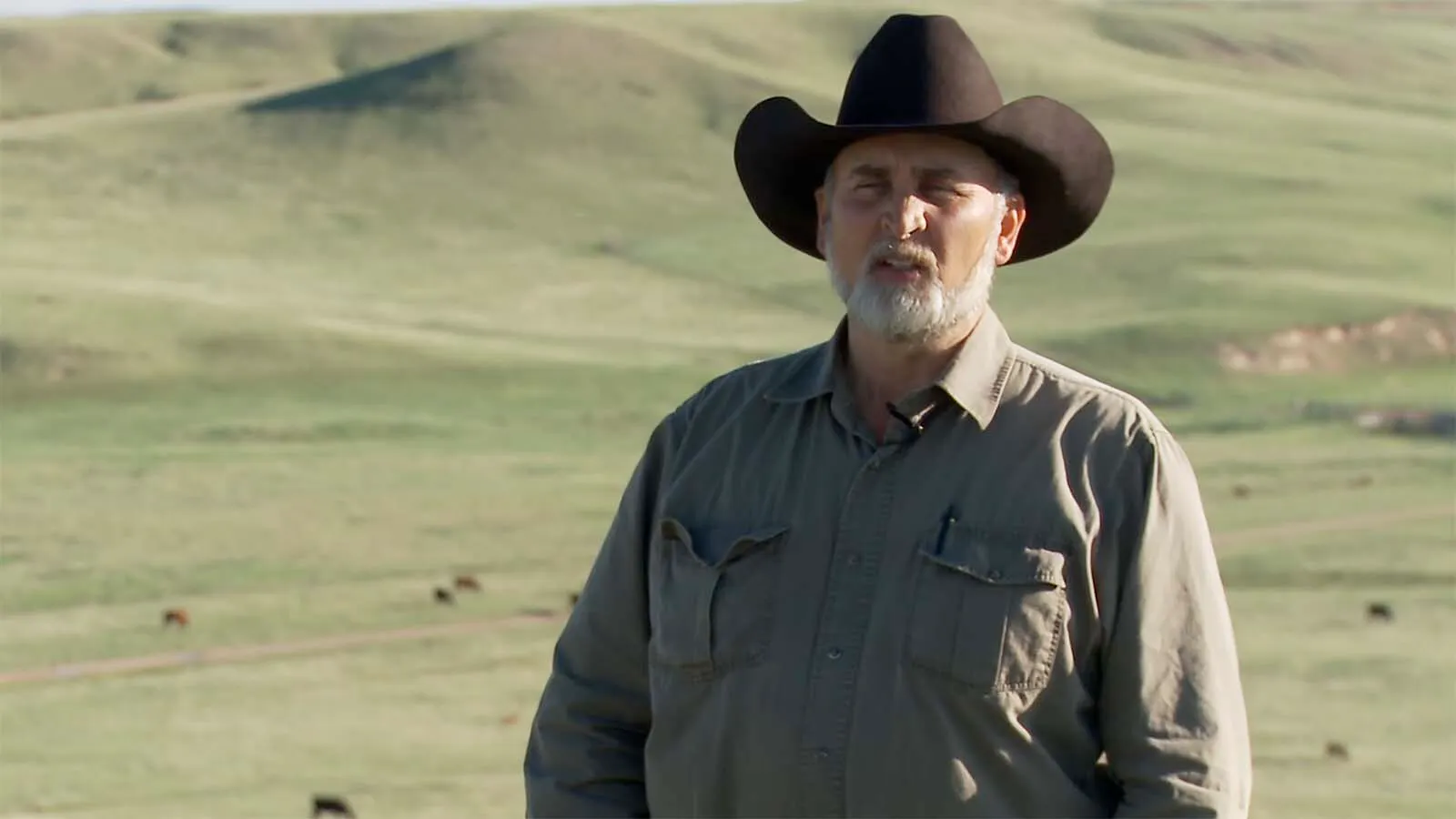 Wyoming Rancher, National Cattleman's Beef Association President, Talks ...
