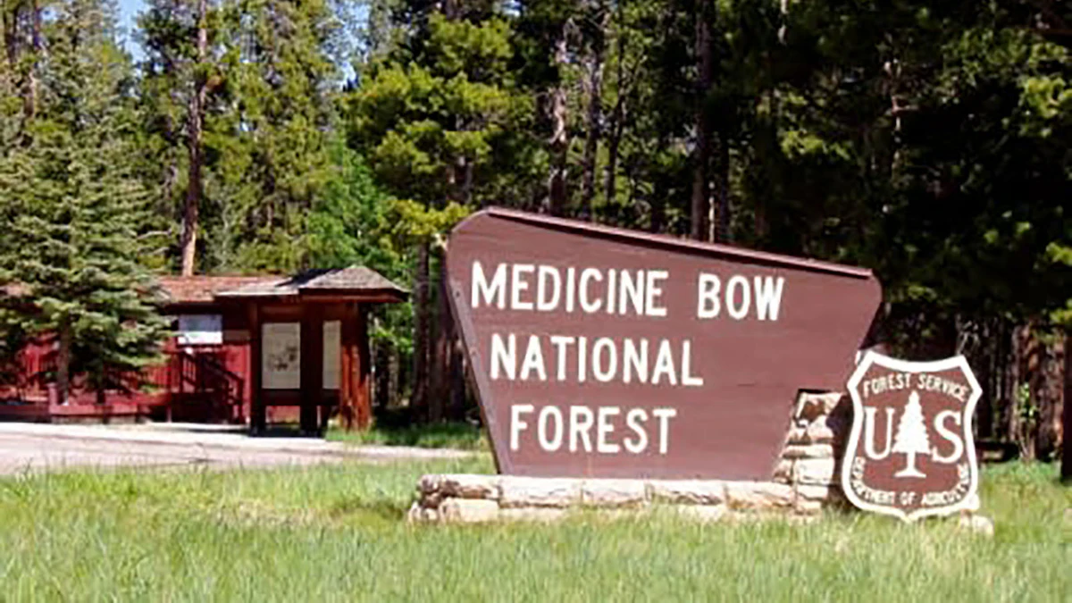 Wyoming Hikers Mourn Death Of Centennial Man Who Died Afte Fall Into ...