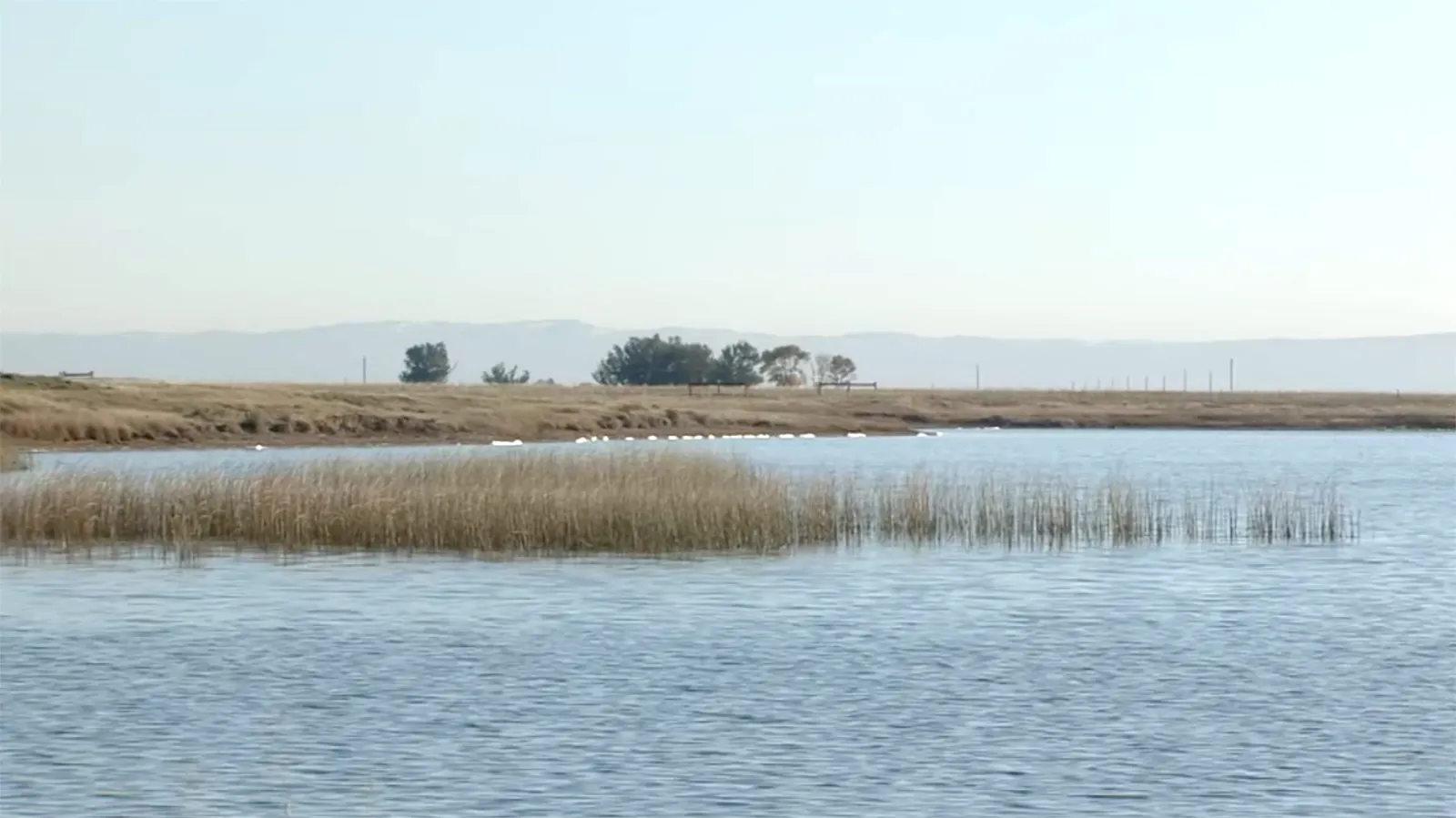 Fishing Wyoming: All The Trout In Albany County's Meeboer Lake Are Dead ...