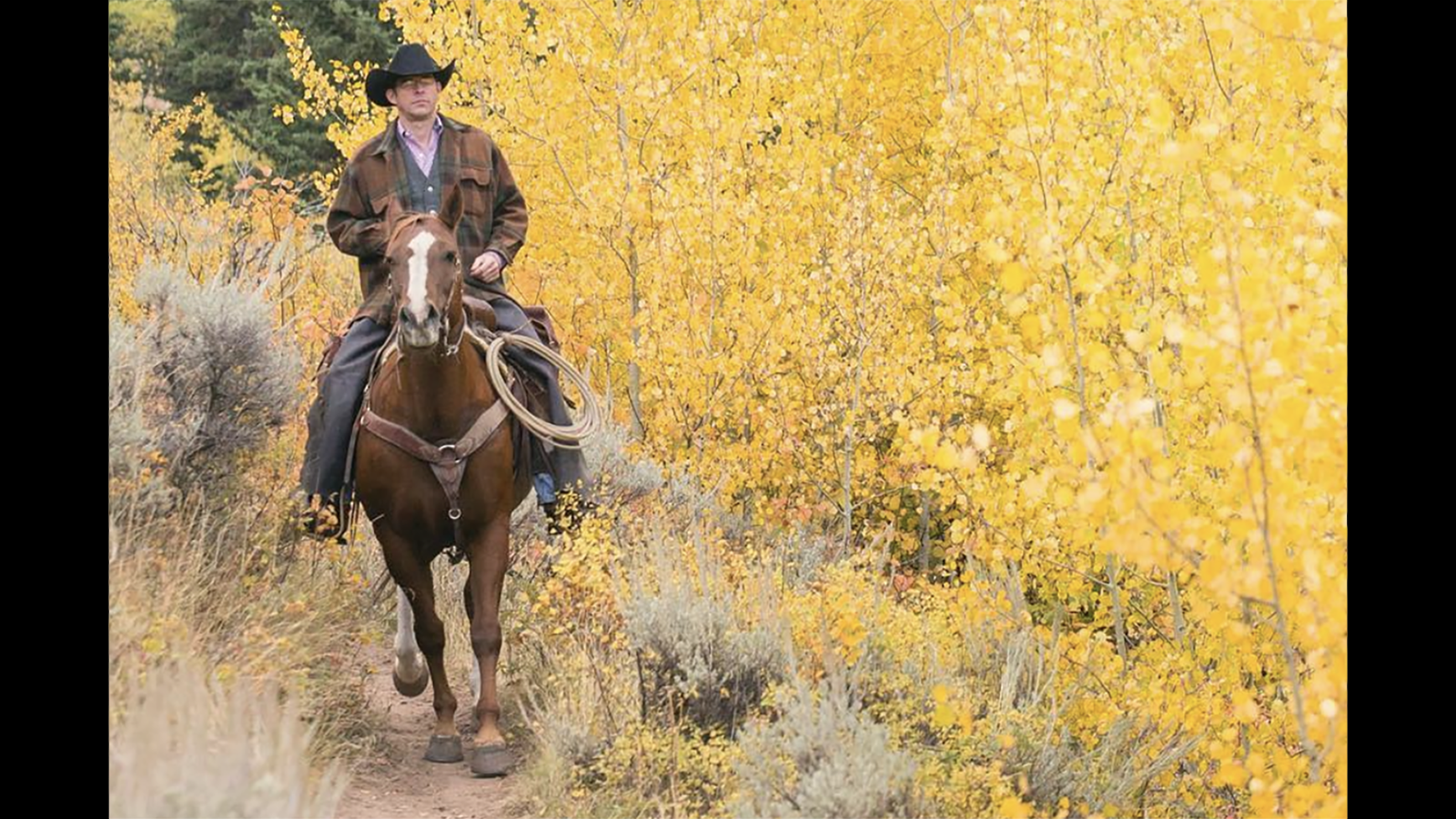 Meeteetse Chocolatier Takes Annual International Safari For Unique Confections | Cowboy State Daily