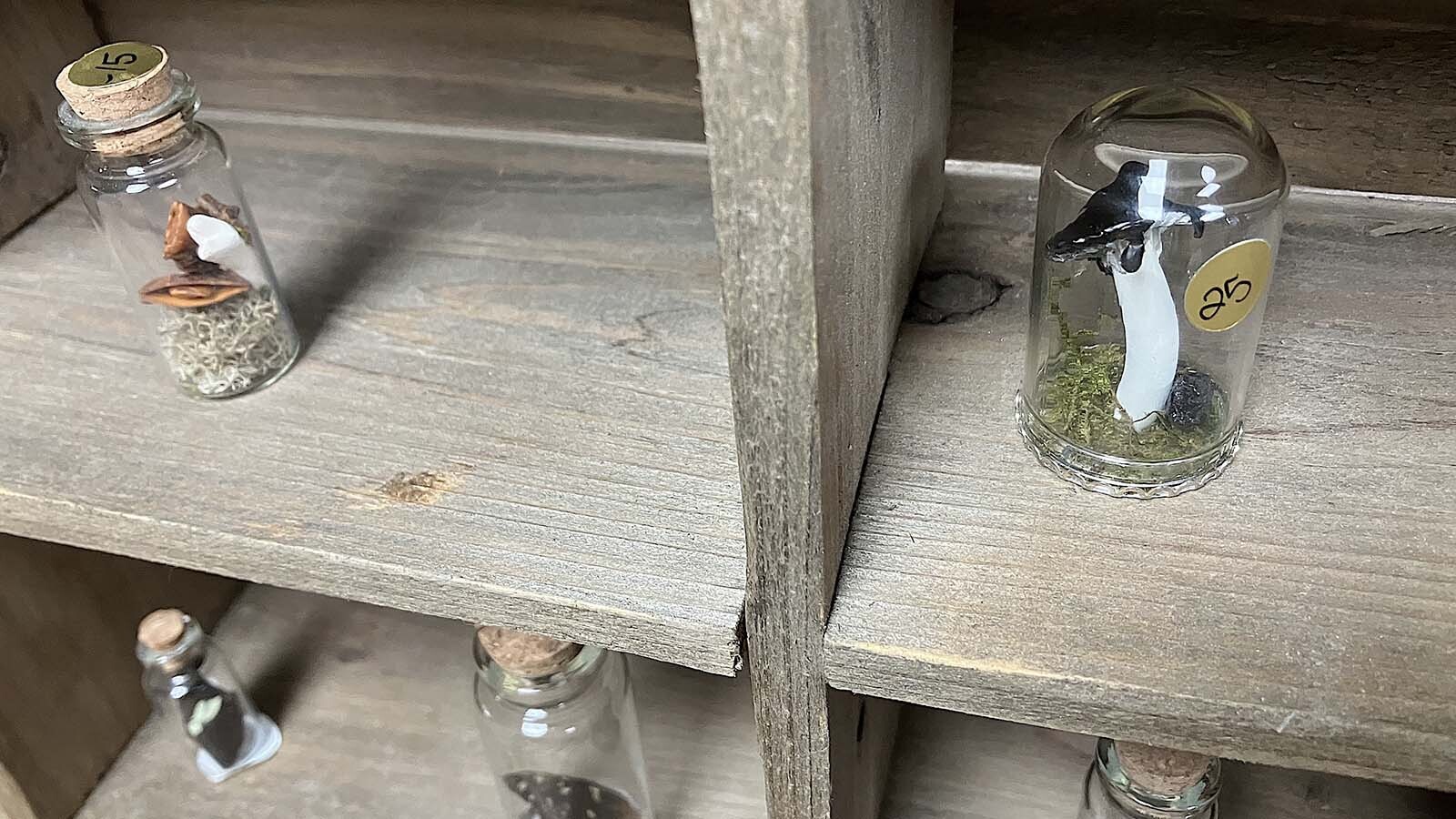 Rabbit In A Jar And Insect Taxidermy: If It’s Odd, It’s At Casper’s ...