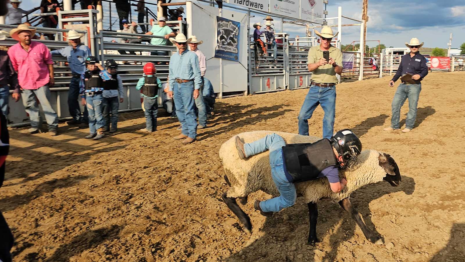 Growing Up Rodeo In Wyoming Means Riding In Miniature Roughstock Events ...