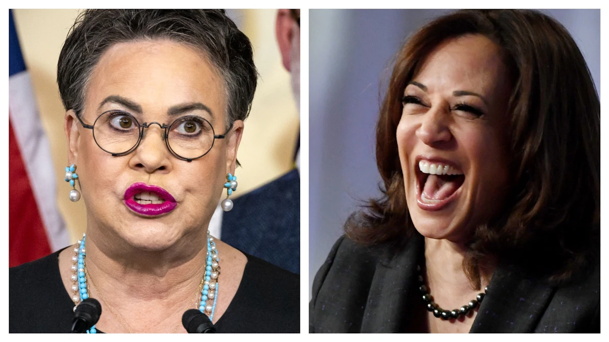 Wyoming Democrats Angry That Rep. Hageman Called Kamala Harris A ‘DEI ...