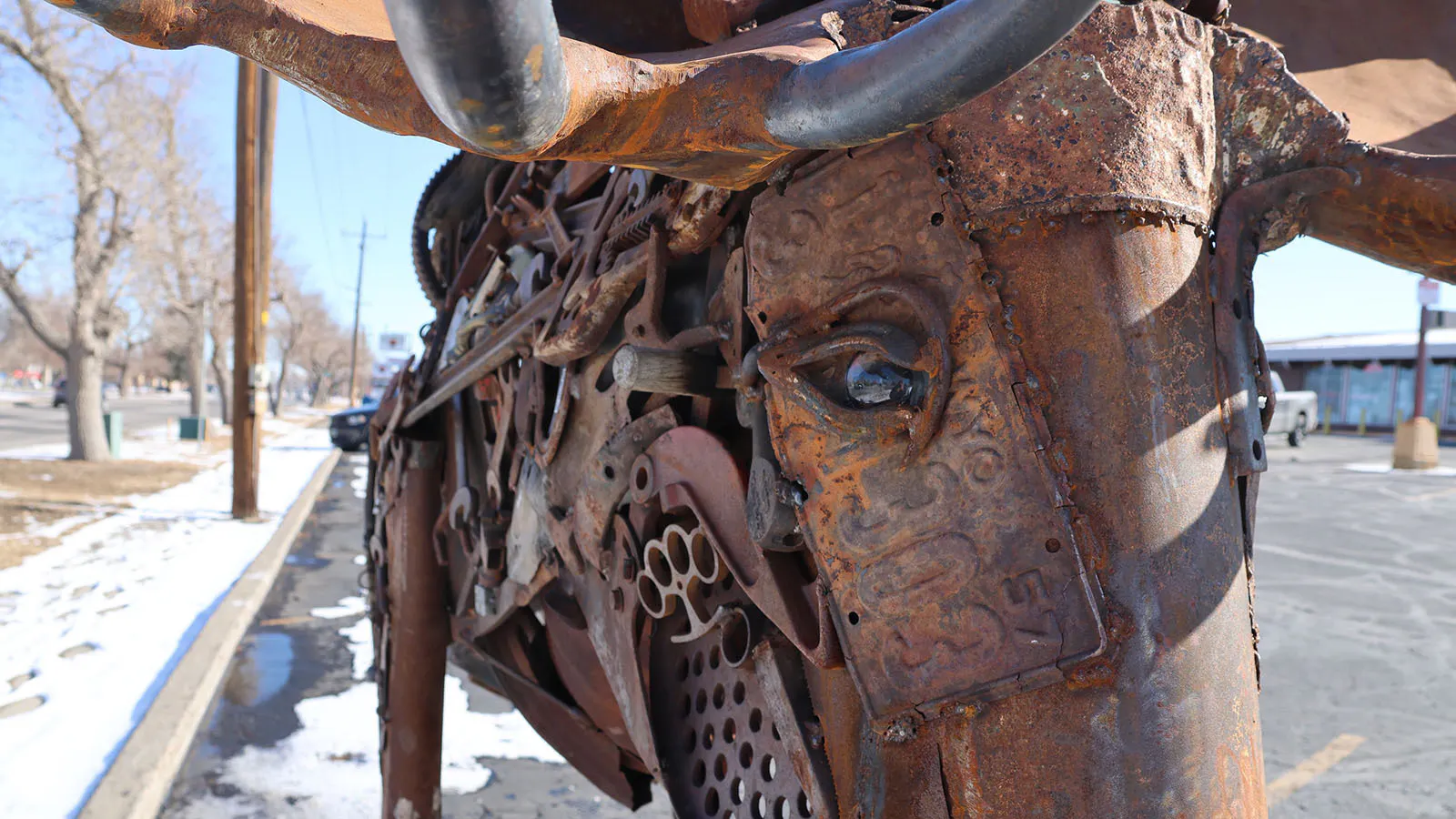 Glendo Native Creates Life-Size Moose From Junk Parts For Breast Cancer ...