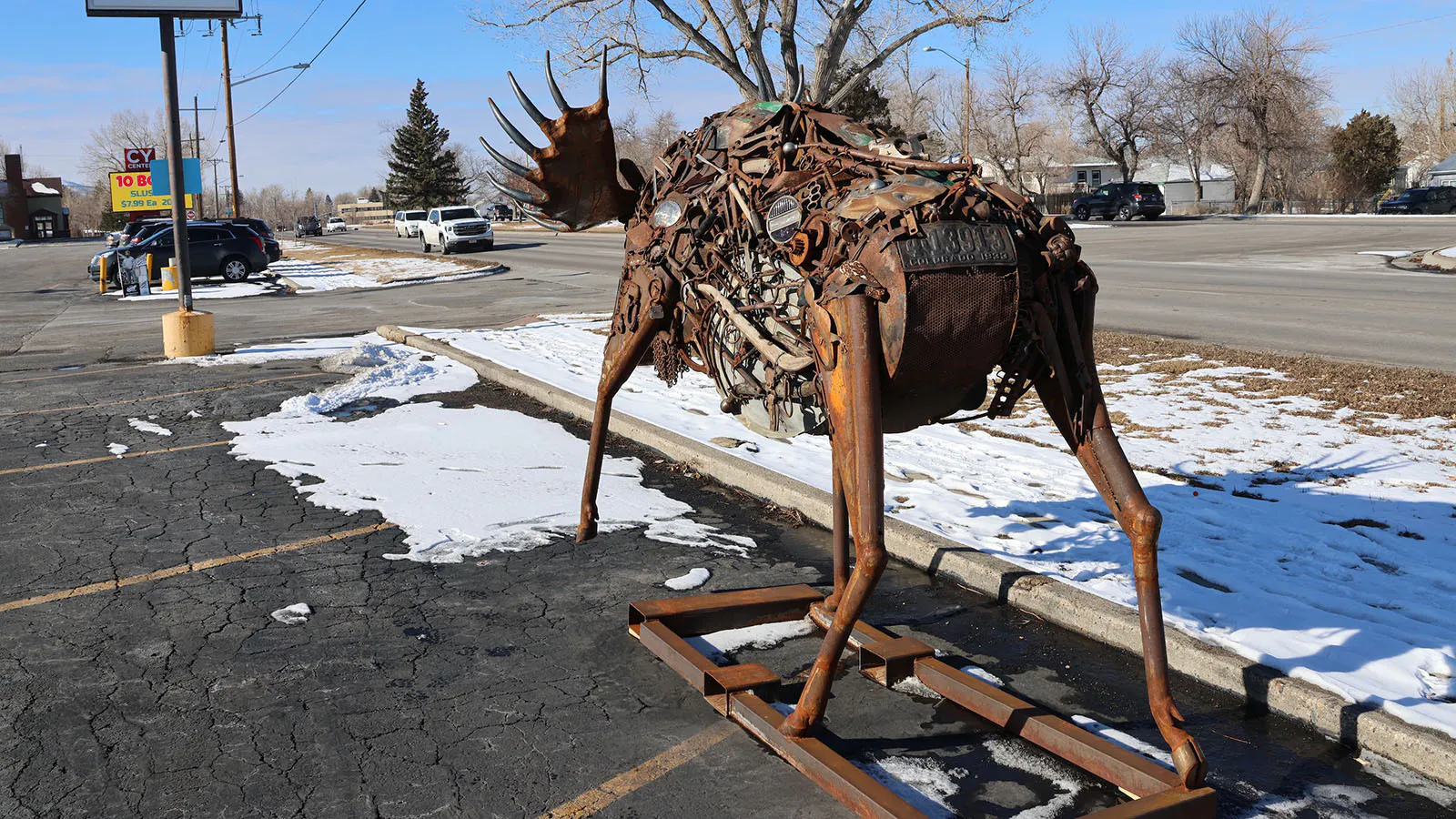 Glendo Native Creates Life-Size Moose From Junk Parts For Breast Cancer ...