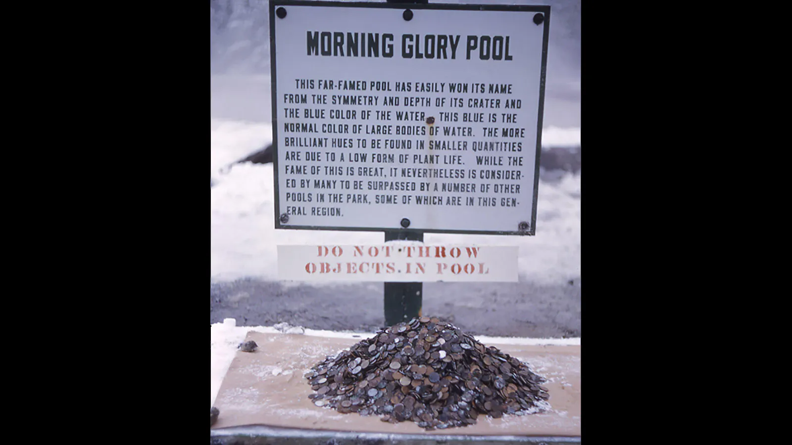 Morning Glory Pool Used To Be Brilliant Blue Until Tourists Ruined It ...