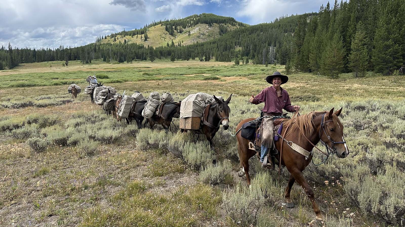 Yellowstone Guide Loves The Backcountry, Where His Mules Chase ...