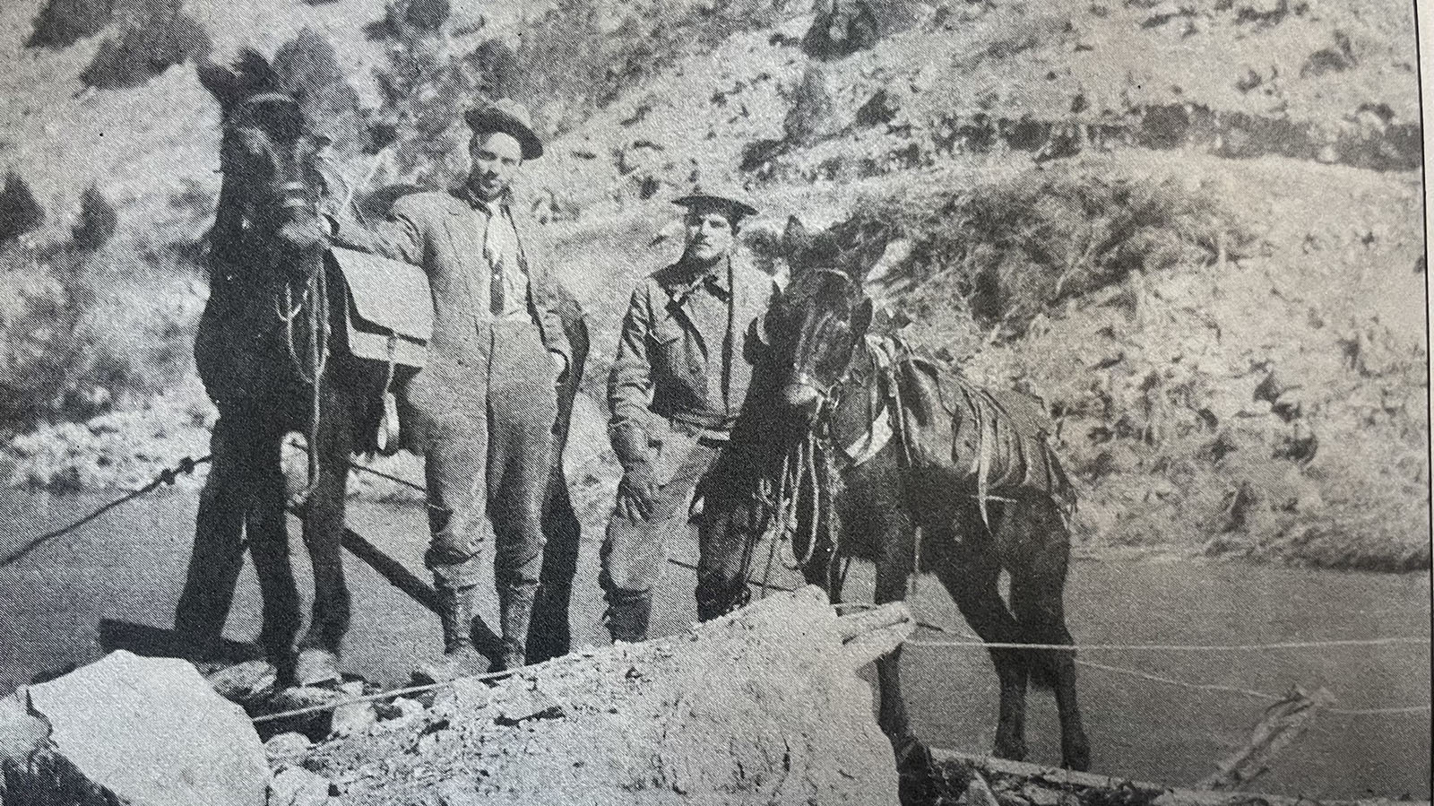 With A World War Brewing, Wyoming Was Captivated By A Rogue Army Mule ...