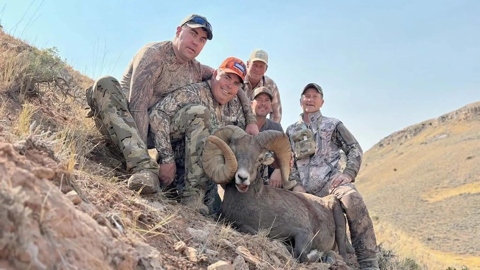 Wyoming Hunter Shoots Ram With Well-Known Horn Mutation In Famous Herd ...