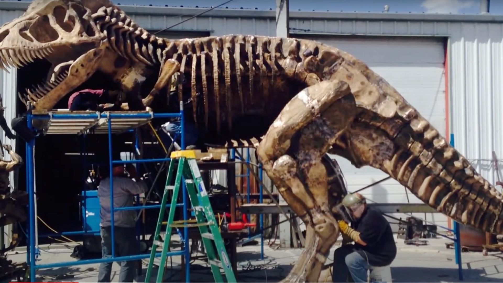 From Giant Lighted Jesus To Giant Lighted T. Rex, Chris Navarro Now ...