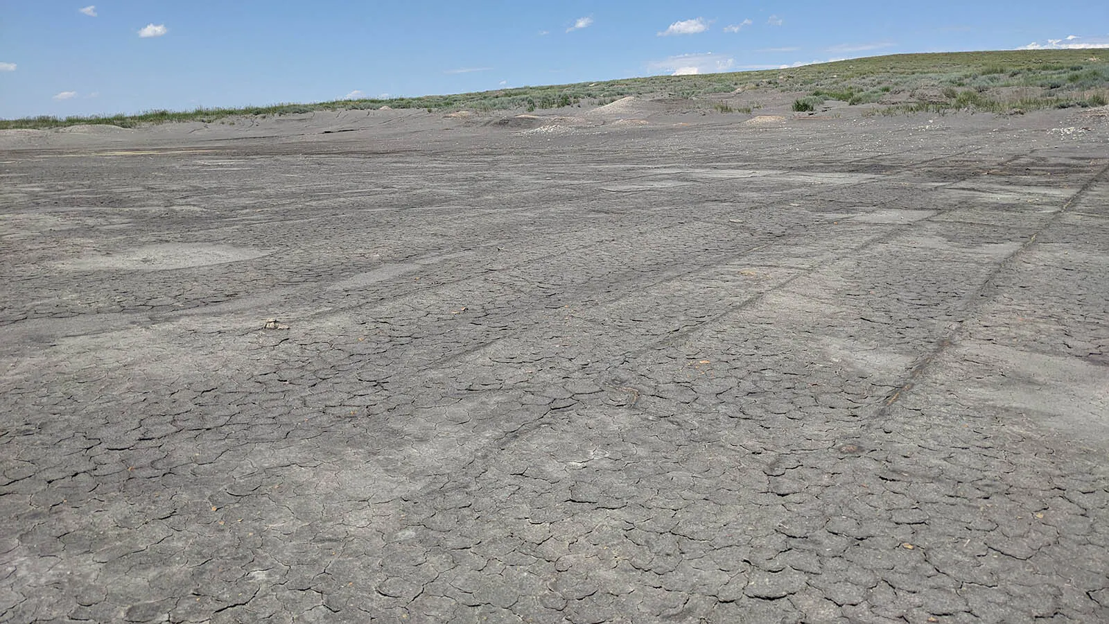 Wyoming's Loch Ness Monster Was A Short, Stumpy Sea Lizard From ...