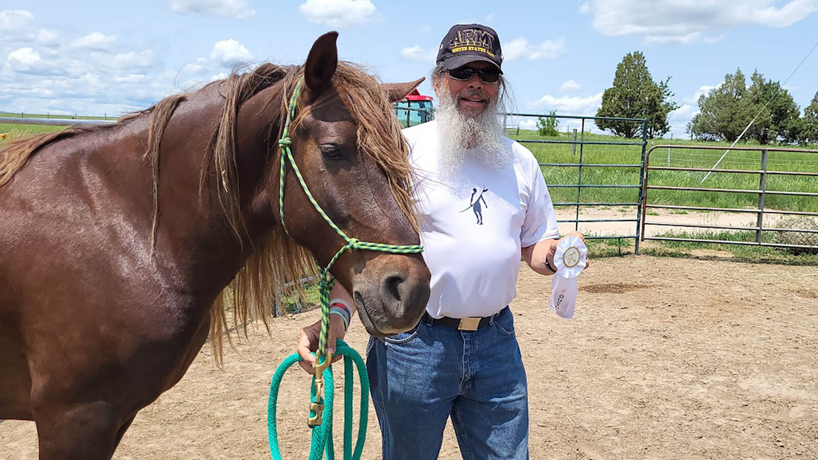 Wyoming's Wild Horses And Military Veterans Ease Each Others’ PTSD ...