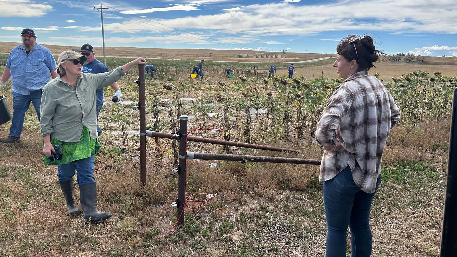 It's Her Wyoming Life: The Now-Solo Face Of State's Largest Ag YouTube ...
