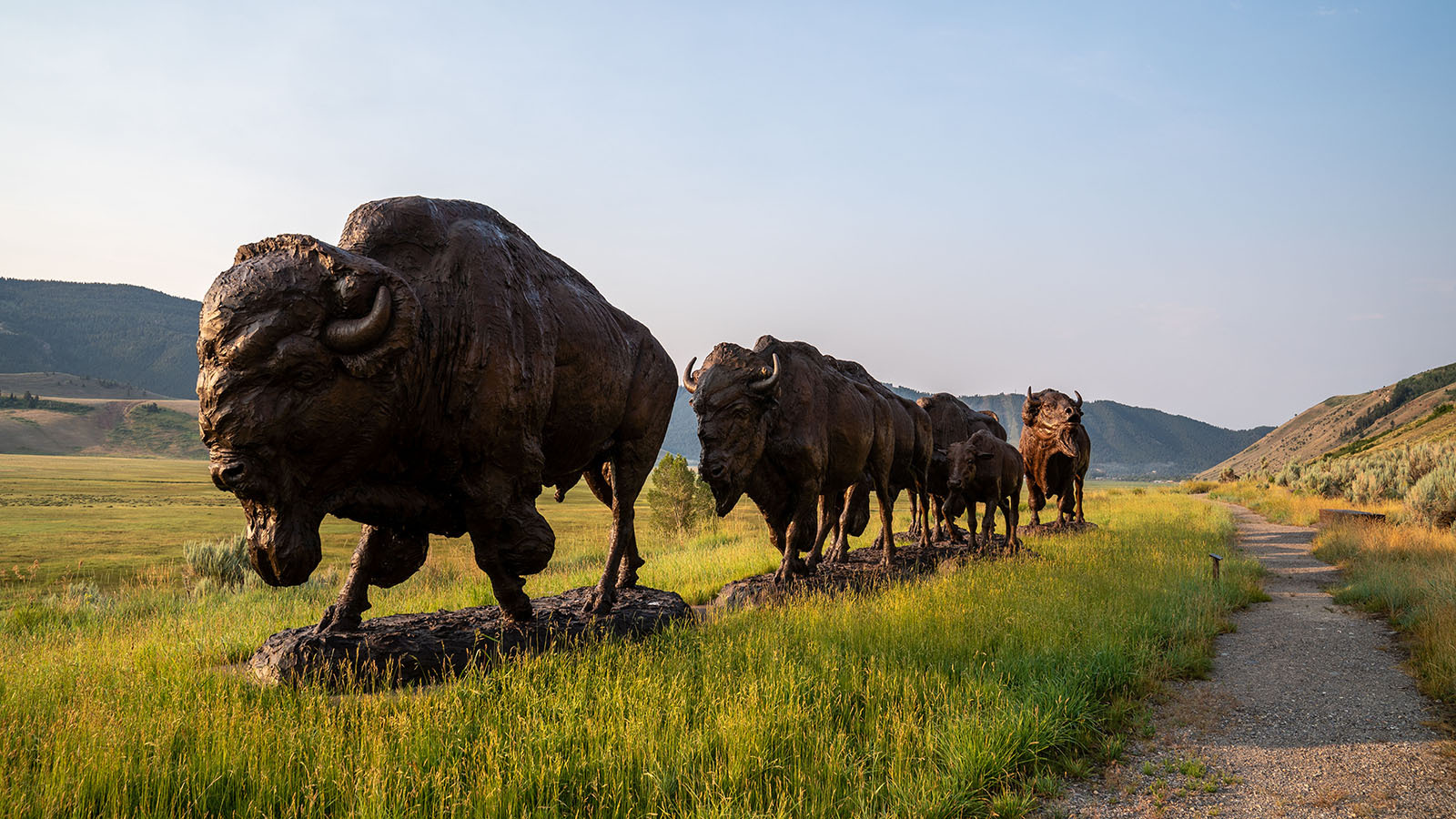 Herd Of 32 Life-Sized Elephants On Way For Month-Long Stay In Jackson | Cowboy State Daily