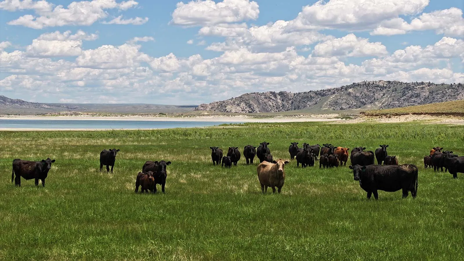 New Owner Of Wyoming Ranch Larger Than Rhode Island Revealed (And It's ...