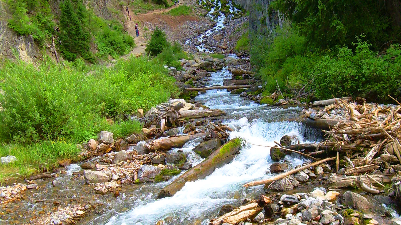 Periodic Spring In Star Valley Is World’s Largest On-Again, Off-Again Stream | Cowboy State Daily