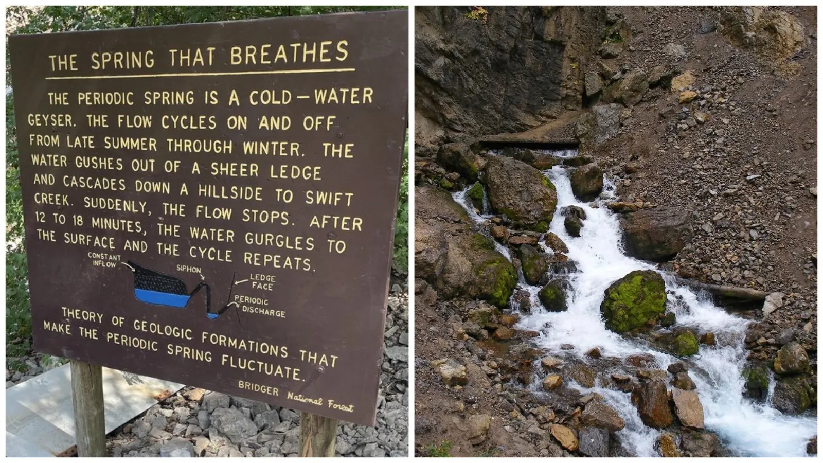 Periodic Spring In Star Valley Is World’s Largest On-Again, Off-Again ...