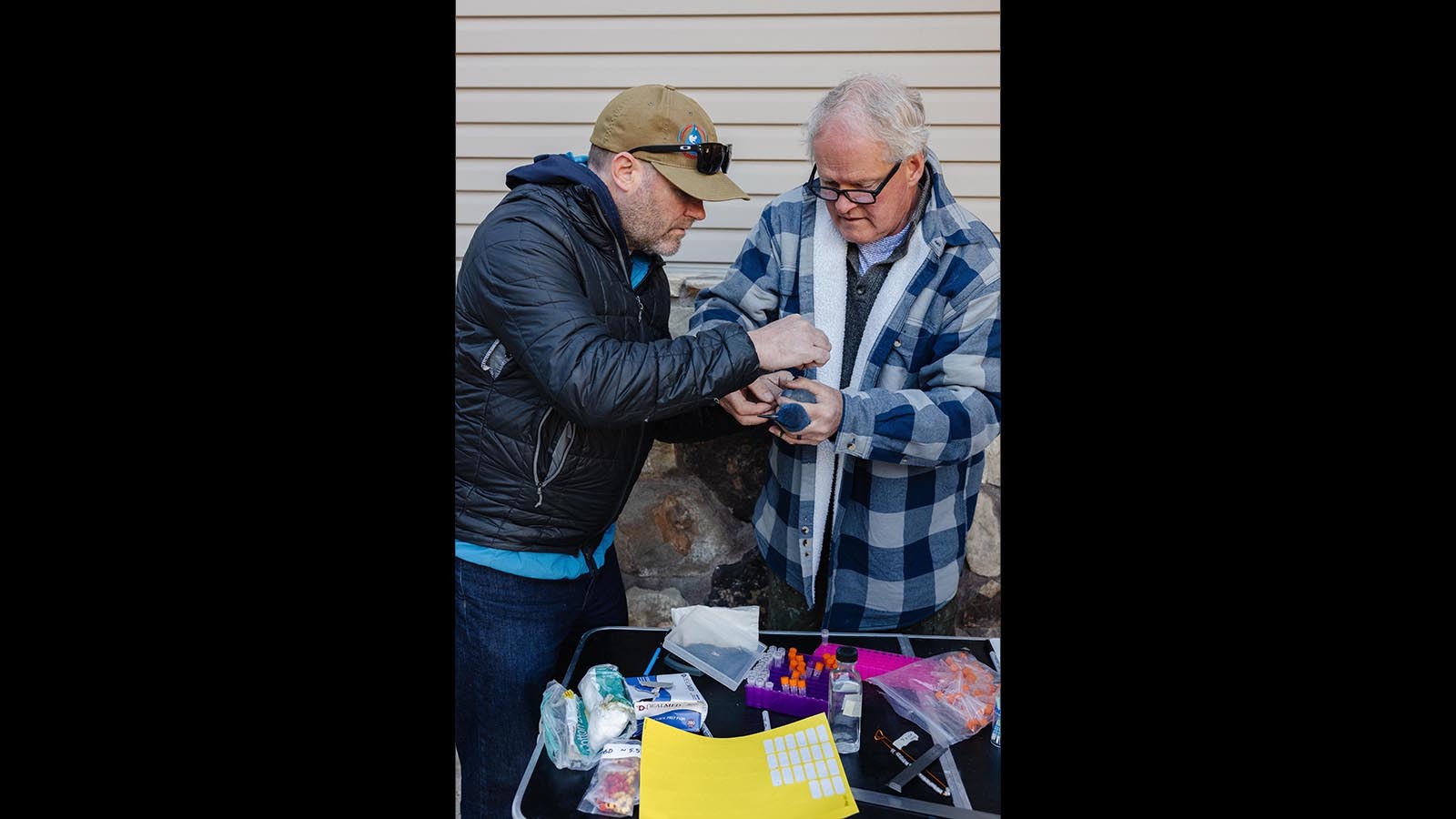 Wyoming Works To Save Rapidly Vanishing Pinyon Jay That’s Down 80% ...