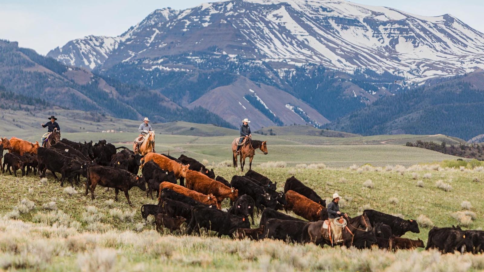 Wyoming’s Famous 96,000-Acre Pitchfork Ranch Is For Sale For $67 ...