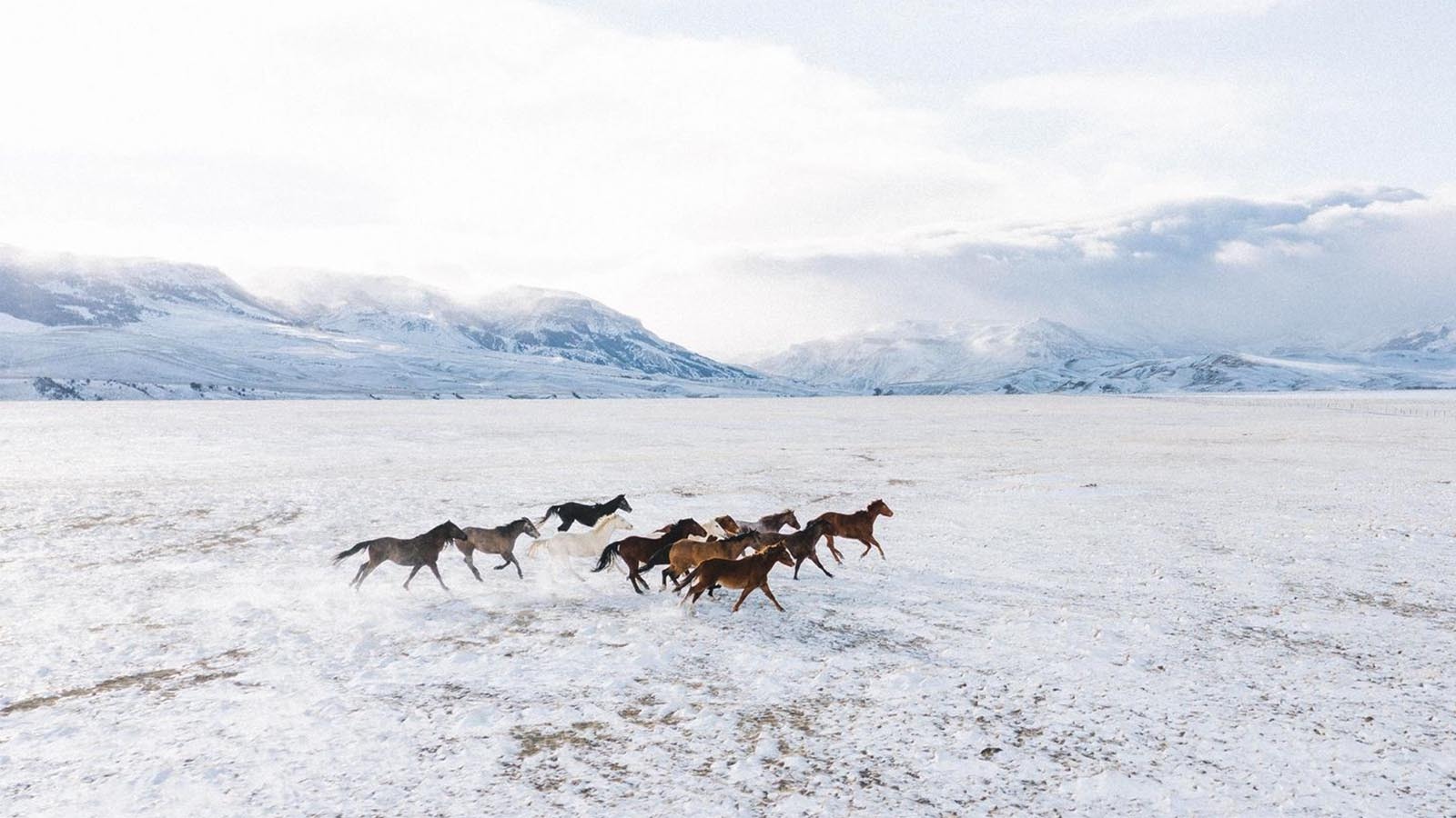 Wyoming’s Famous 96,000-Acre Pitchfork Ranch Is For Sale For $67 ...