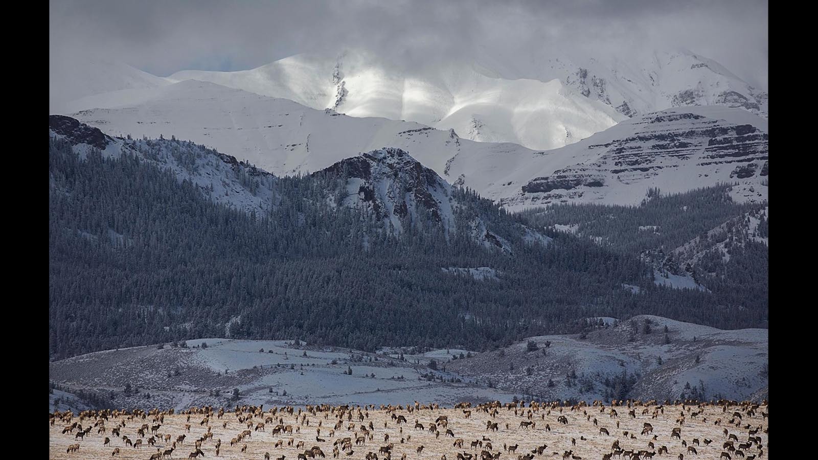 Wyoming’s Famous 96,000-Acre Pitchfork Ranch Is For Sale For $67 ...