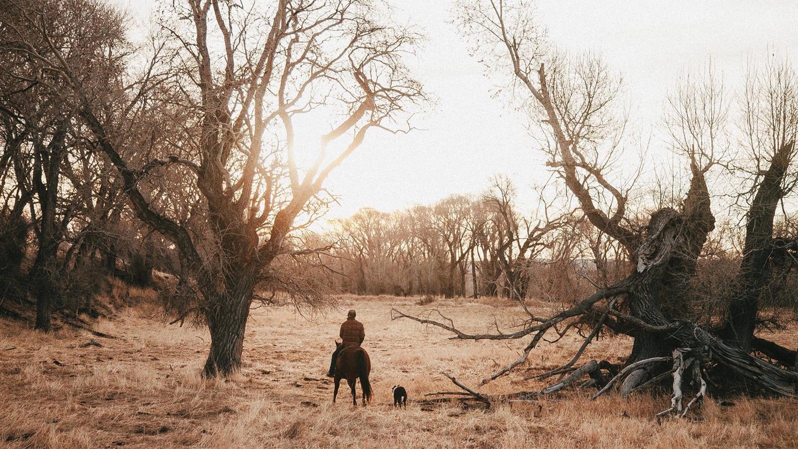 Wyoming’s Famous 96,000-Acre Pitchfork Ranch Is For Sale For $67 ...