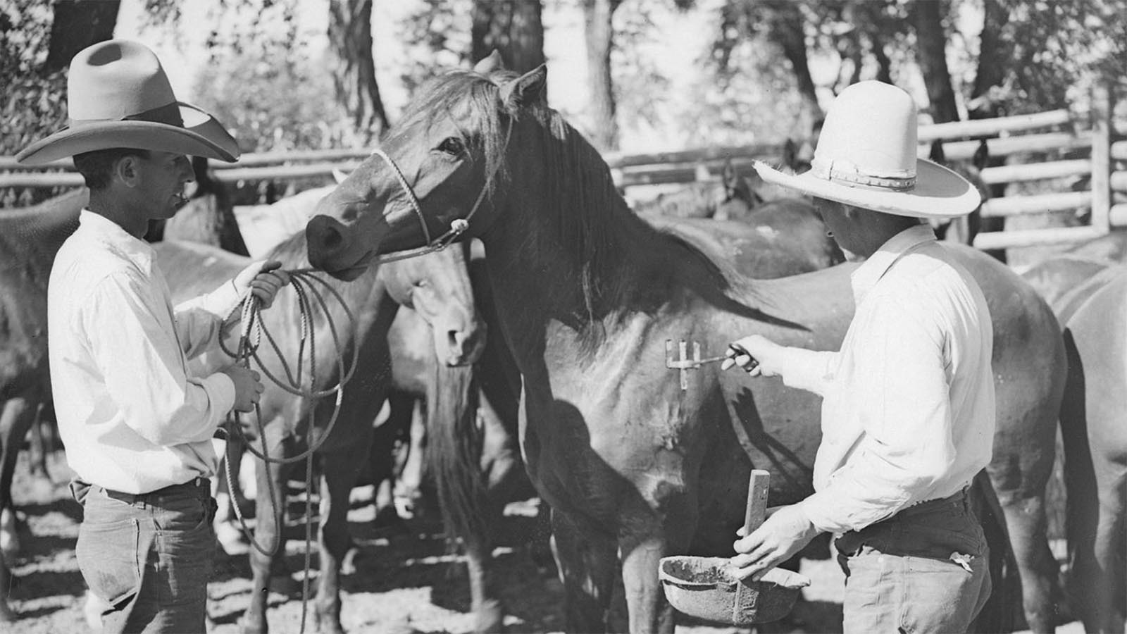 Wyoming’s Famous 96,000-Acre Pitchfork Ranch Is For Sale For $67 ...
