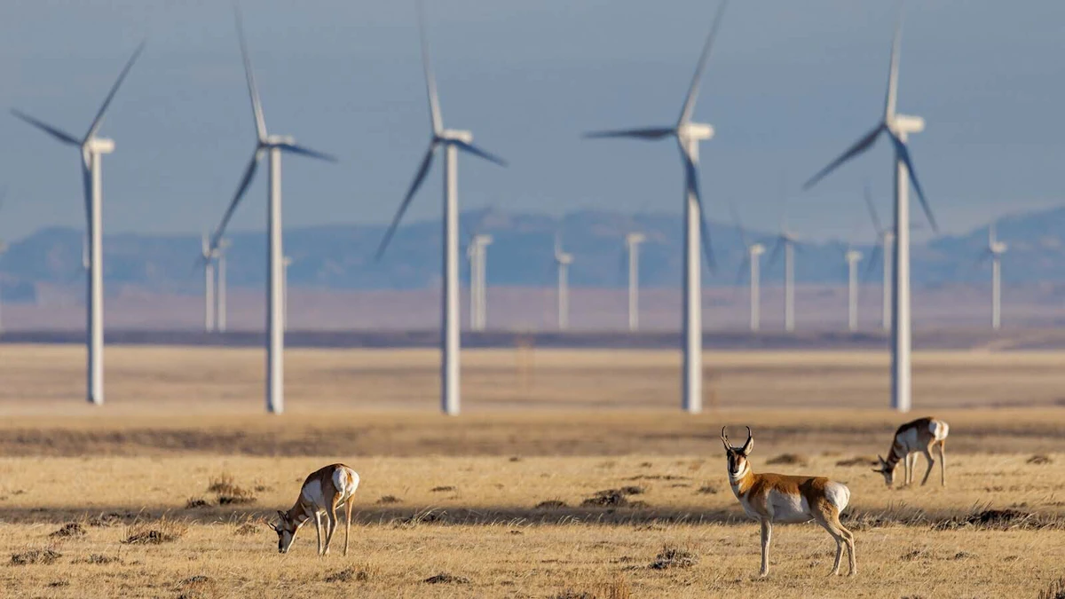 Opponents Say Turbines On Way To Turning Laramie Range Into A ‘Wyoming ...