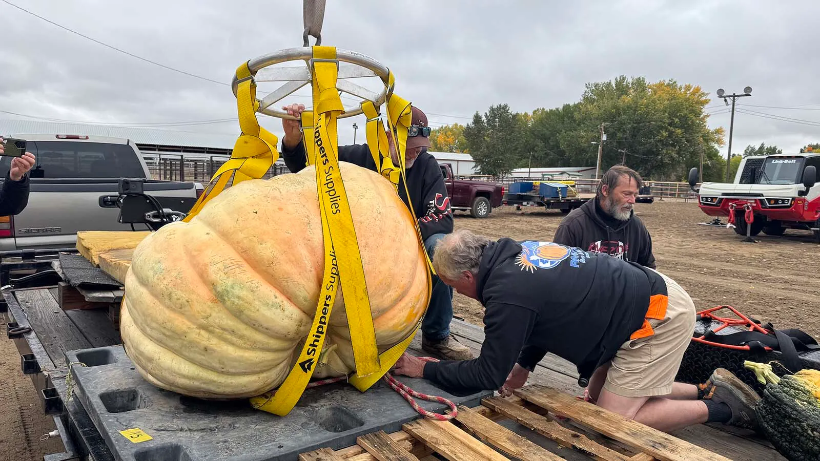 1,800-Pound Pumpkin Dropped From 200-Foot Crane, Destroys Outhouse ...