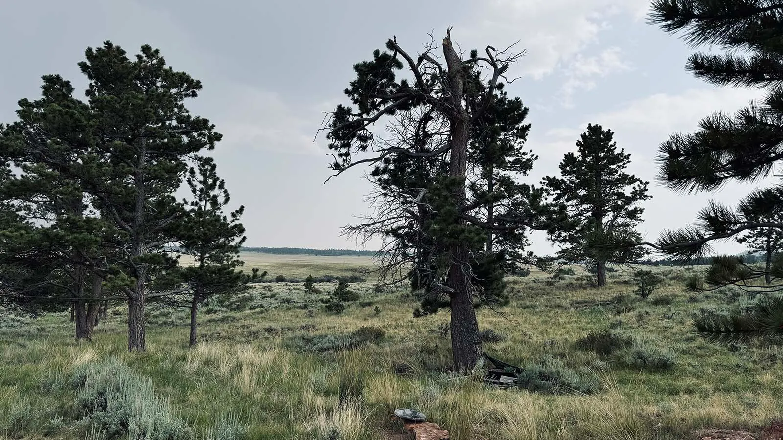 Fight Over $500 Million Rail Tie Wind Farm In Southern Wyoming Far From ...