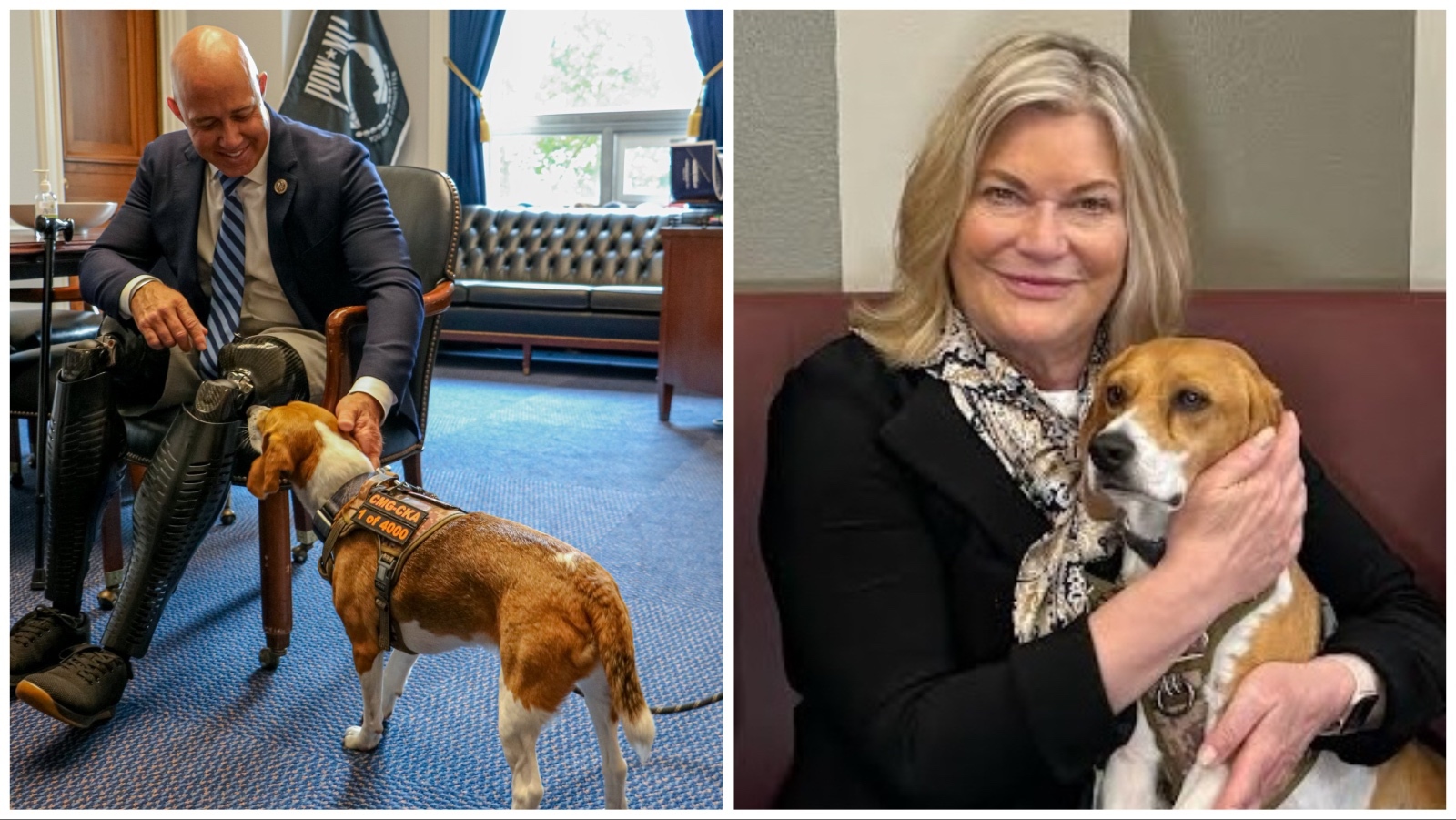 Wyoming Rescue Dog From The Kindness Ranch Unites Politicians On ...