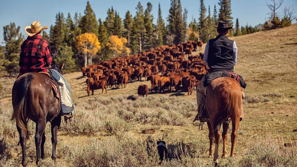Douglas-Area Ranch Owners Donate $2.5 Million To Help Innovate Wyoming ...