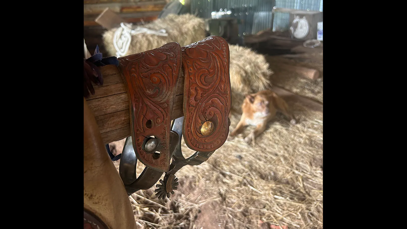 Wyoming People: Brittany Heseltine Is A Real Working Cowgirl And Range ...