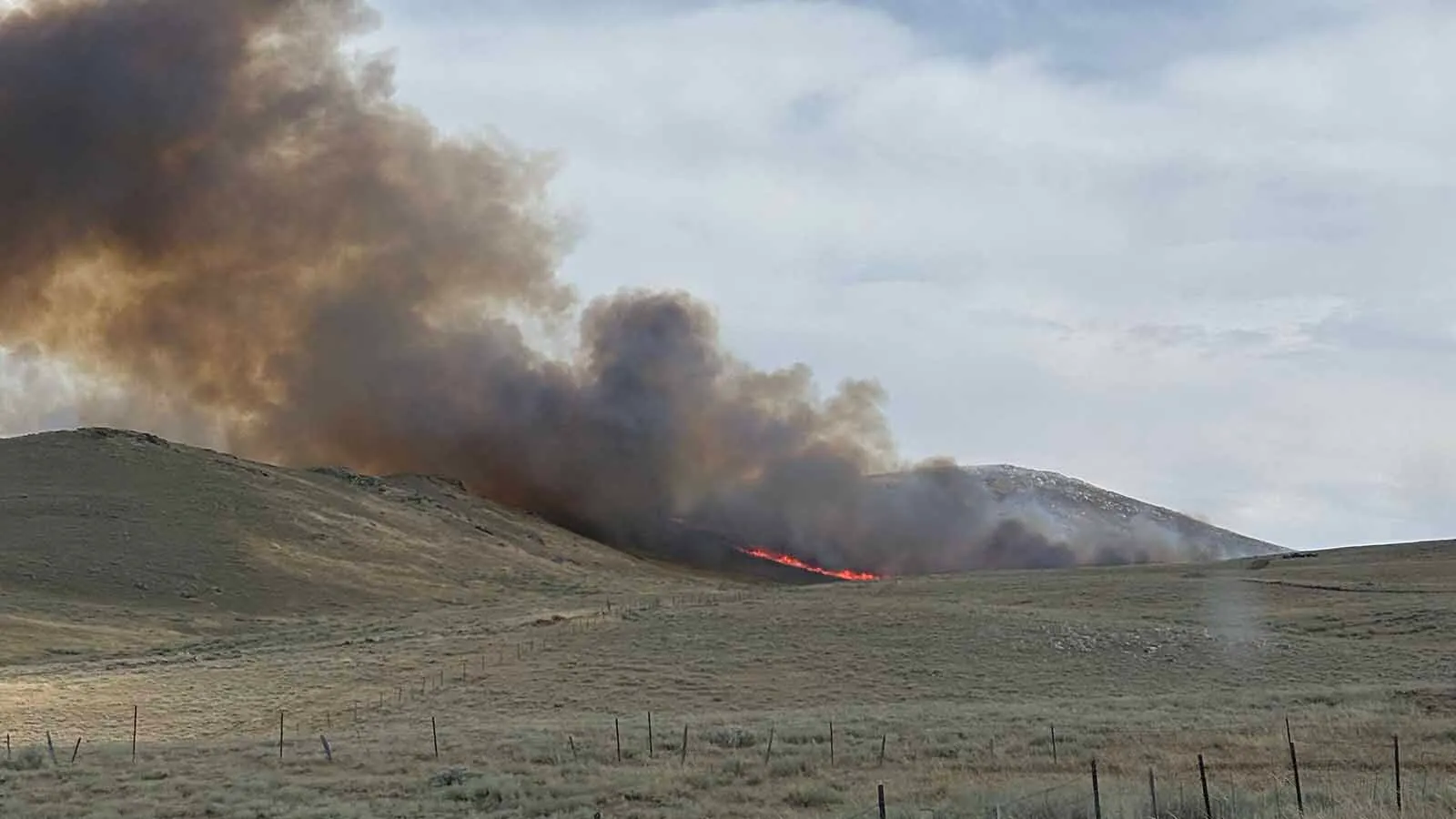 ‘Pretty Damn Helpless’: Ranchers Work To Save Cattle, Land From Red ...