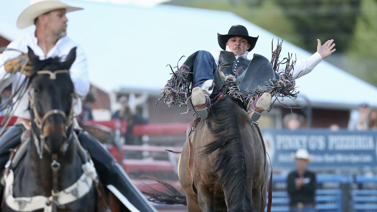 Rodeo For Dummies: Wyoming’s Favorite Sport Explained For The City ...