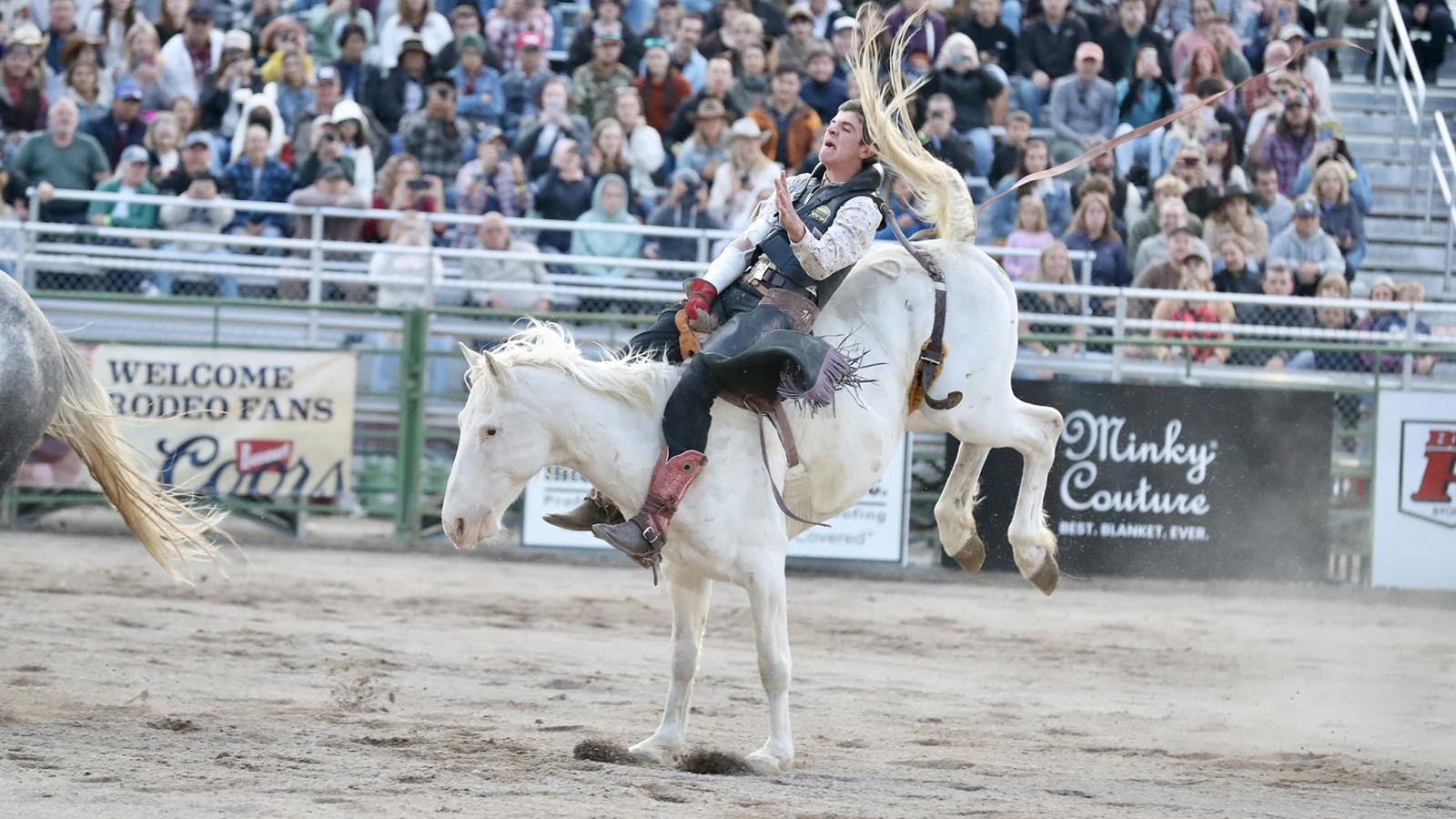 Rodeo For Dummies: Wyoming’s Favorite Sport Explained For The City ...