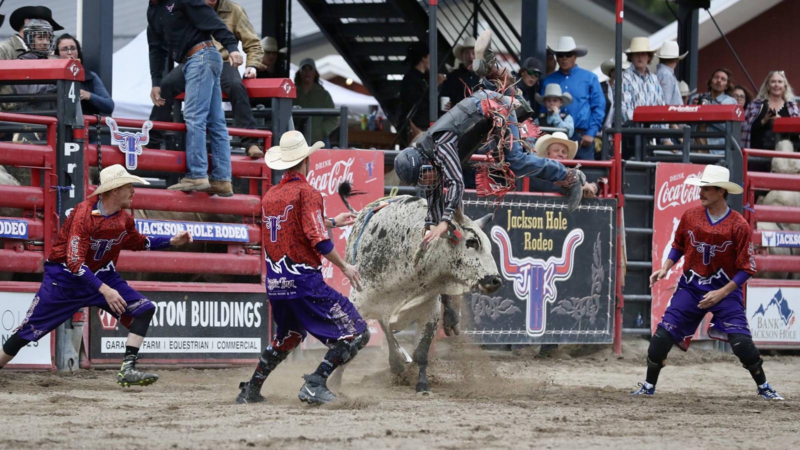 Rodeo For Dummies: Wyoming’s Favorite Sport Explained For The City ...